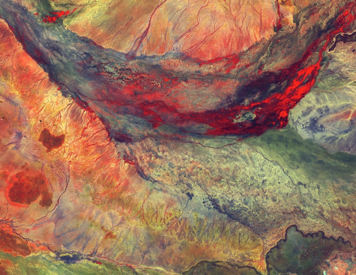 Round the Decay of That Colossal Wreck: An Interview with Ngũgĩ wa ...