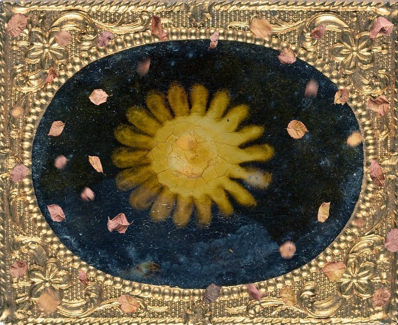 Alexis St. Martin, 1822 – The Collidescope