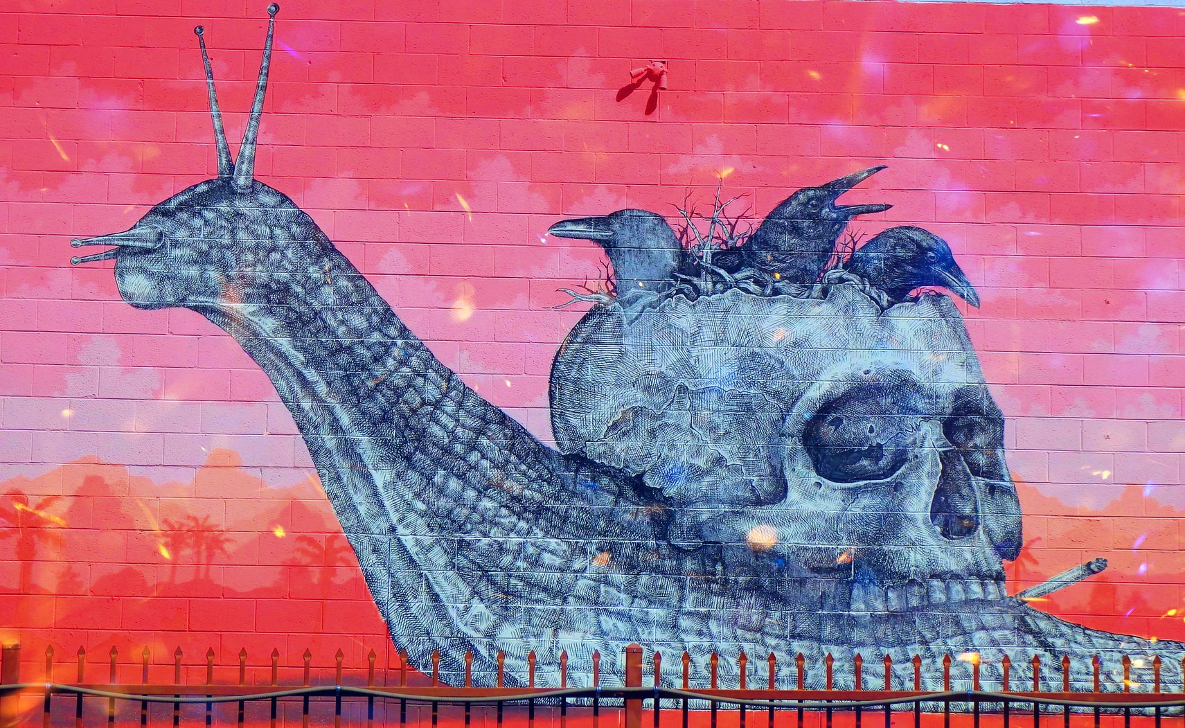 Skull-Bottled: An Interview with Vanessa Place – The Collidescope