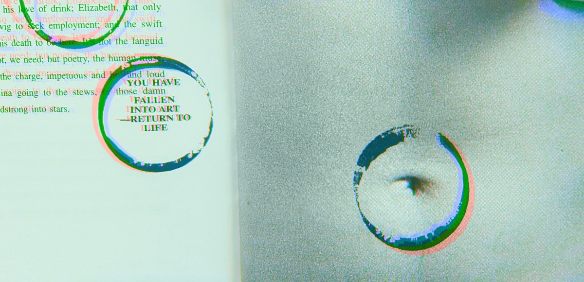 A Review of Willie Masters’ Lonesome Wife by William H. Gass – The Collidescope